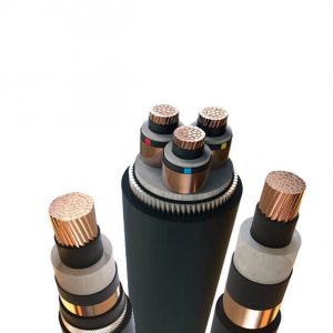 Tai Sin Authorised Distributor - LKHPD